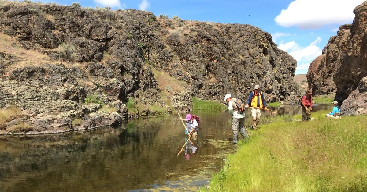 Oregon Field Guide | Desert Frogs, Halfway Calendar and Snowkiting ...