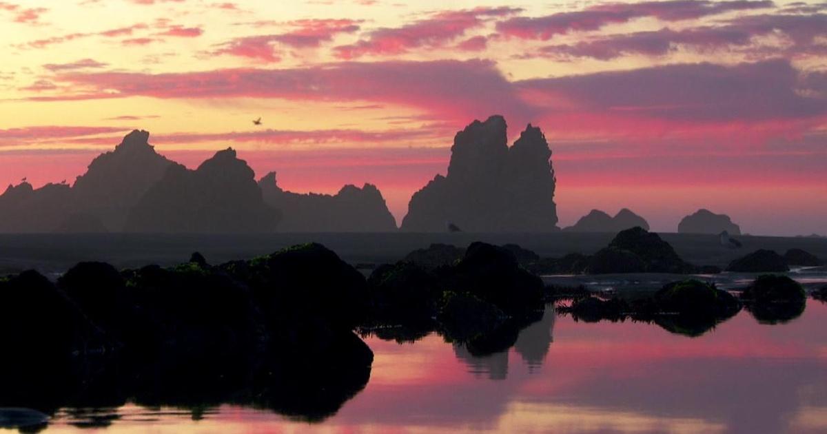 Oregon Field Guide | Nature Break: Night Skies Over the Oregon Coast | PBS