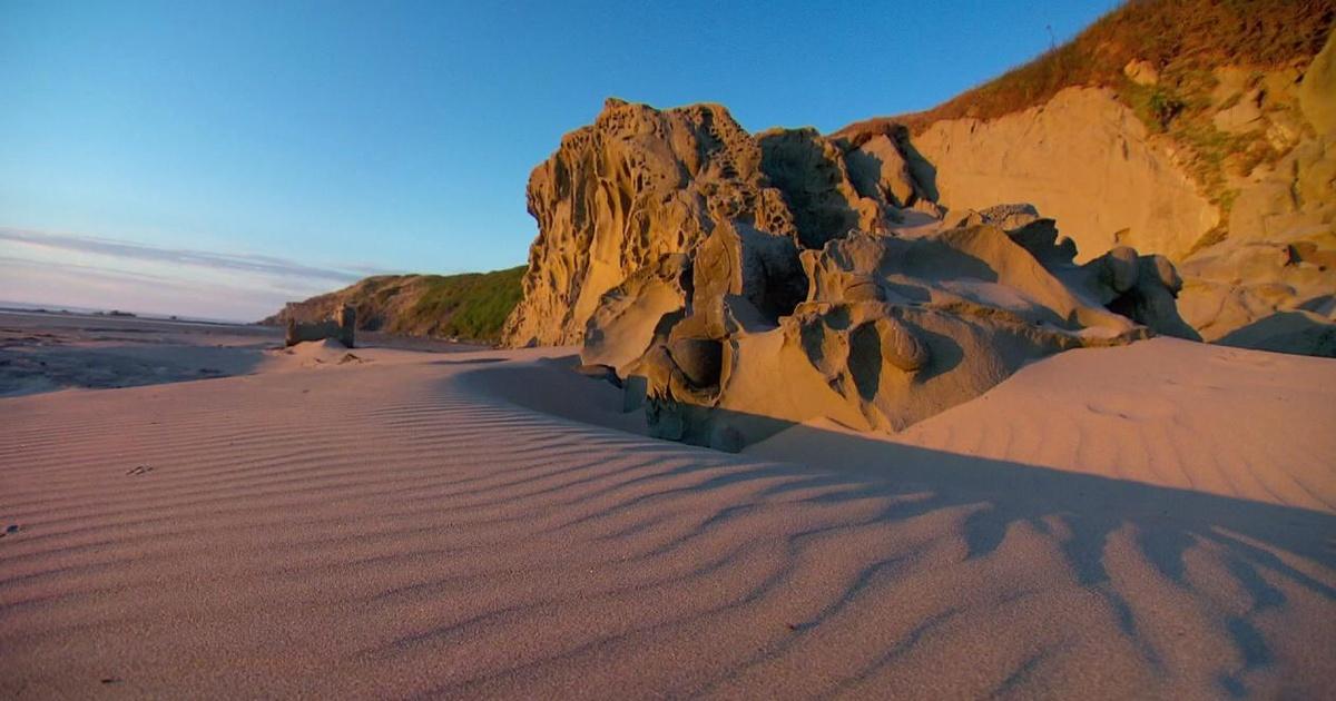 Oregon Field Guide | A Nature Break of the Oregon Coast | PBS