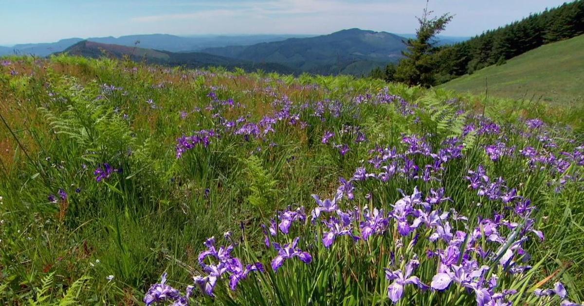 Oregon Field Guide | Disappearing Meadows | PBS