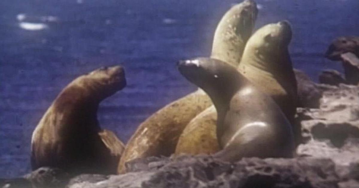 Oregon Field Guide | Season 2, Episode 1 | PBS