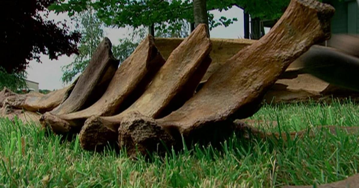 Oregon Field Guide | Season 20, Episode 2 | PBS