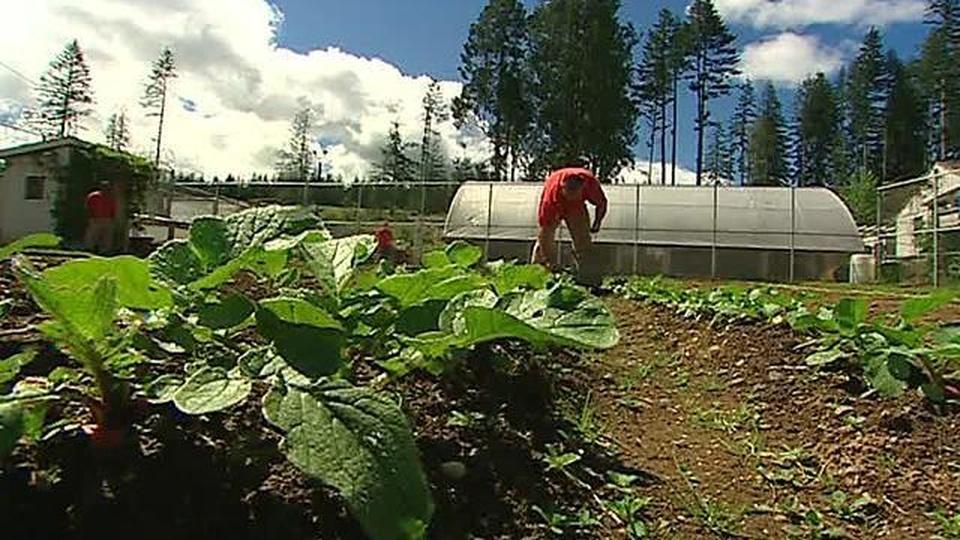 Oregon Field Guide | Season 22, Episode 1 | PBS