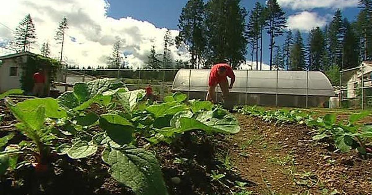 Oregon Field Guide | Sustainable Prisons Project; Log Drives; Sharp ...
