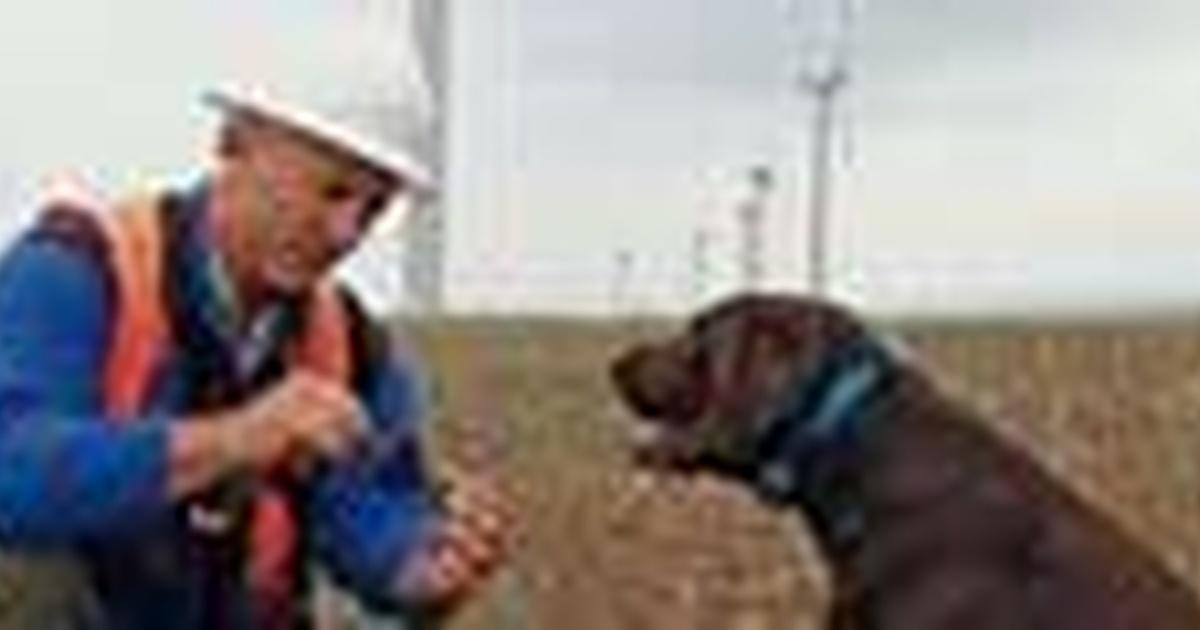 Oregon Field Guide | Murres & Eagles; Wind and Bats; Geocaching ...