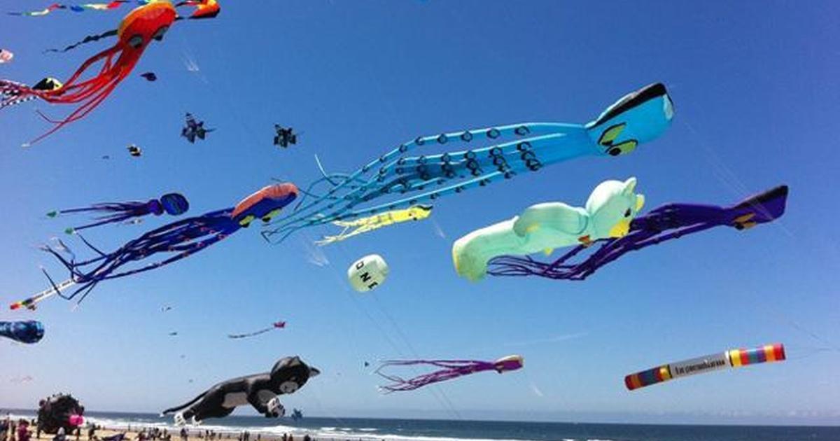 Oregon Field Guide | Trees and Pollution; Ultralight Hiking; Kite ...