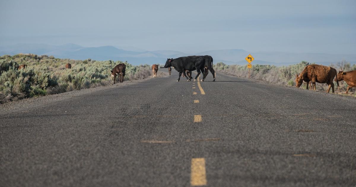 Oregon Field Guide | Gorge Weeds-Cattle Drives-Timberline Lodge 75th ...