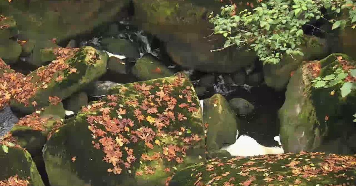 Oregon Field Guide | Autumn Rivers Photo Essay | Season 24 | Episode ...