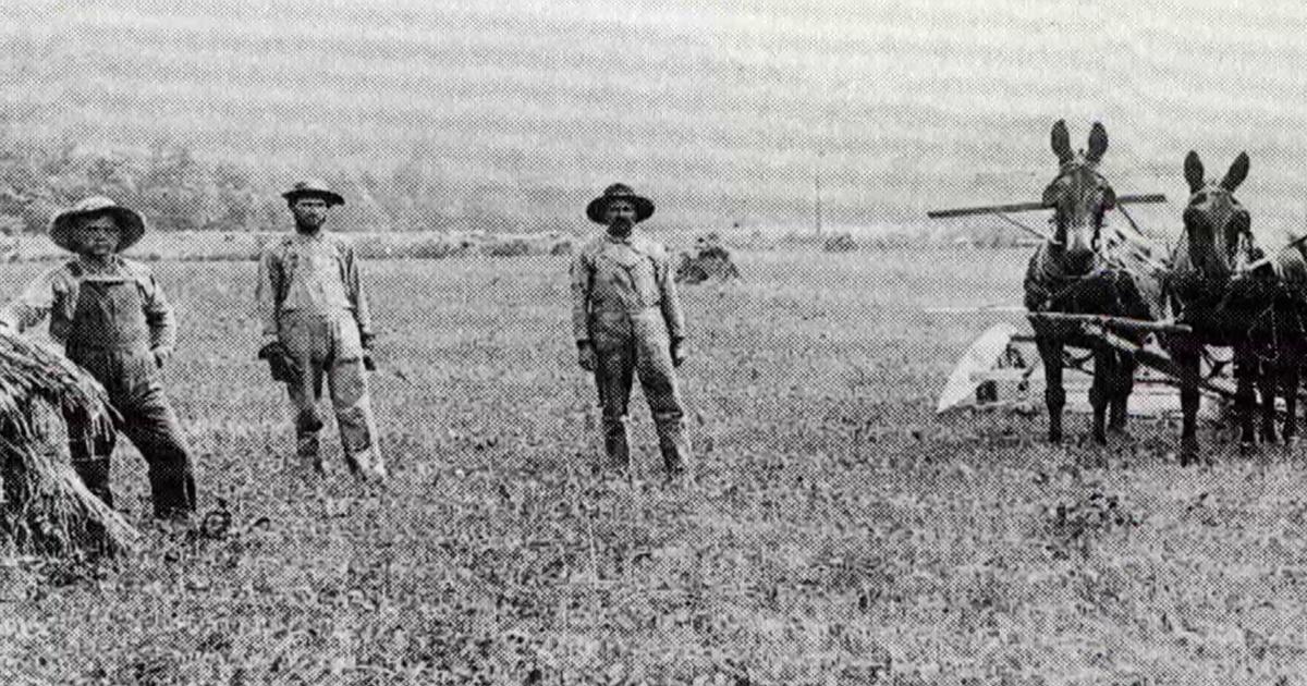 OzarksWatch Video Magazine | The Ozarks: Yesterday and Today | PBS