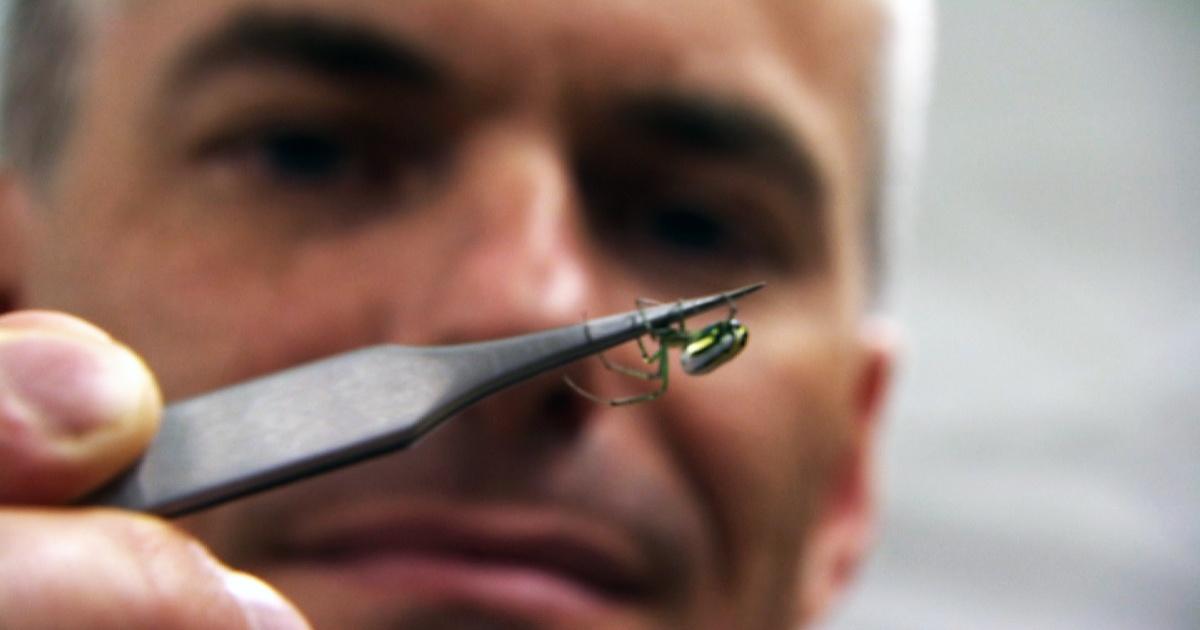 QUEST | Secrets of the Spider Web | PBS