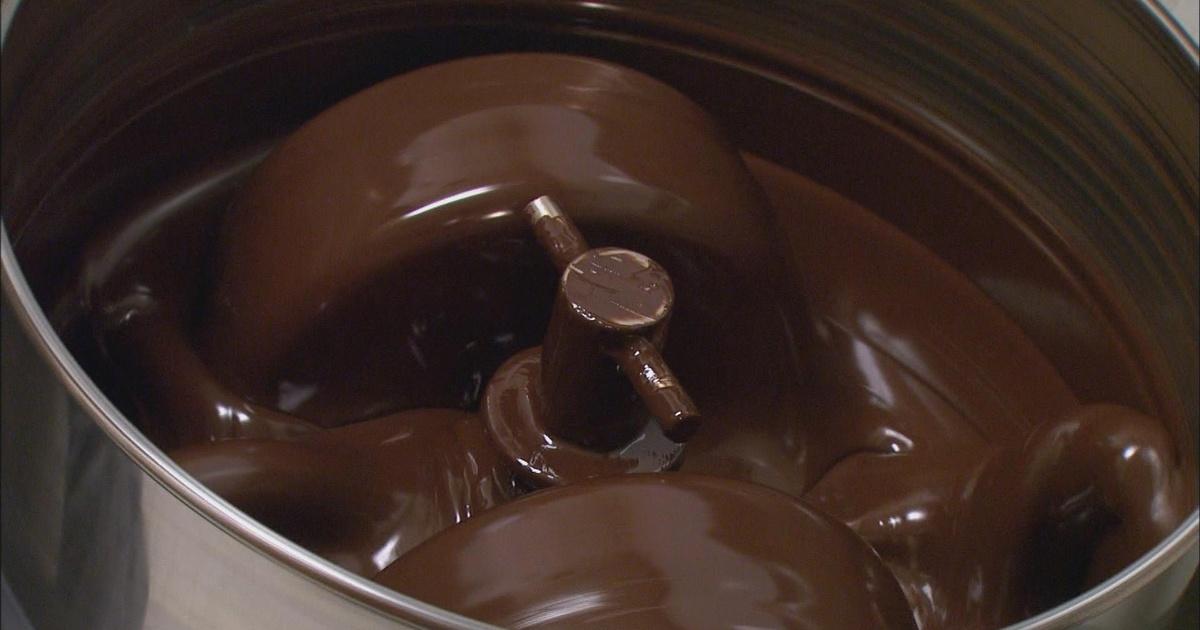 QUEST | The Sweet Science of Chocolate | PBS