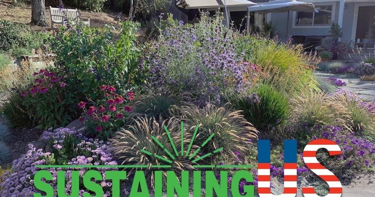 Sustaining US | Native Plant Landscaping Program | Season 2 | PBS