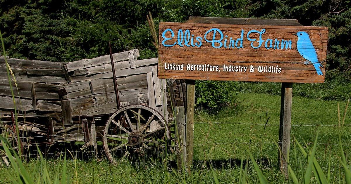 Northwest Profiles | ELLIS BIRD FARM | Season 25 | PBS