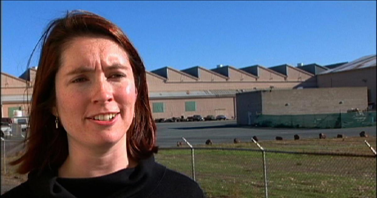 SciGirls | Scientist Profile: Toyologist | PBS