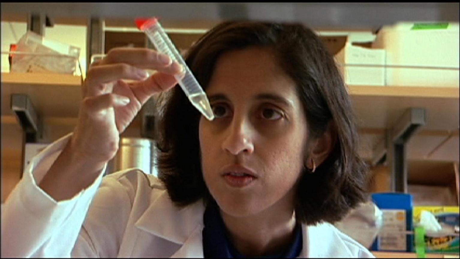 High Tech Fashion Activity Part-1 | SciGirls | PBS