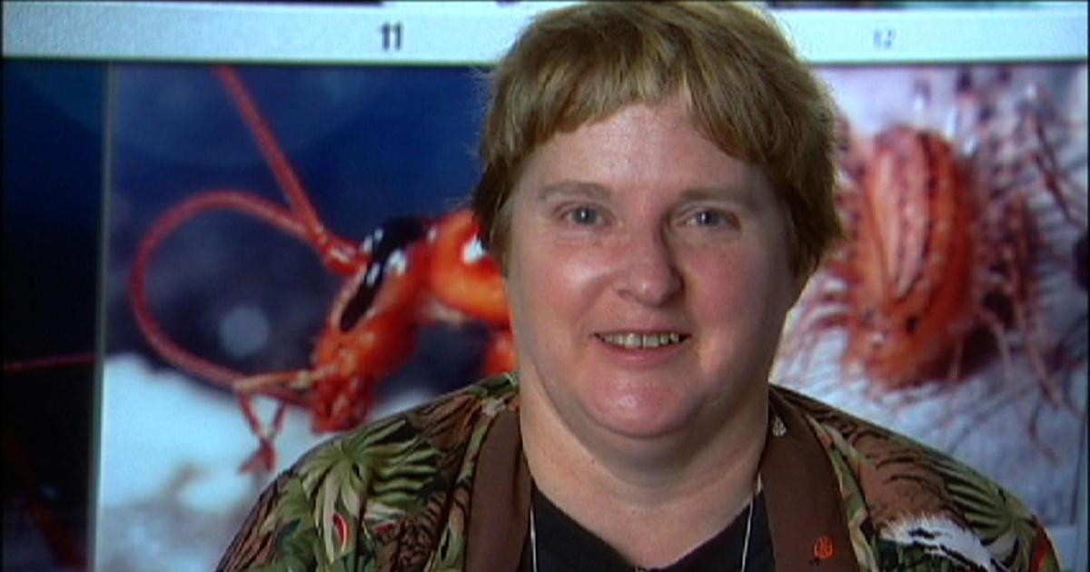 SciGirls | Scientist Profile: Entomologist | PBS