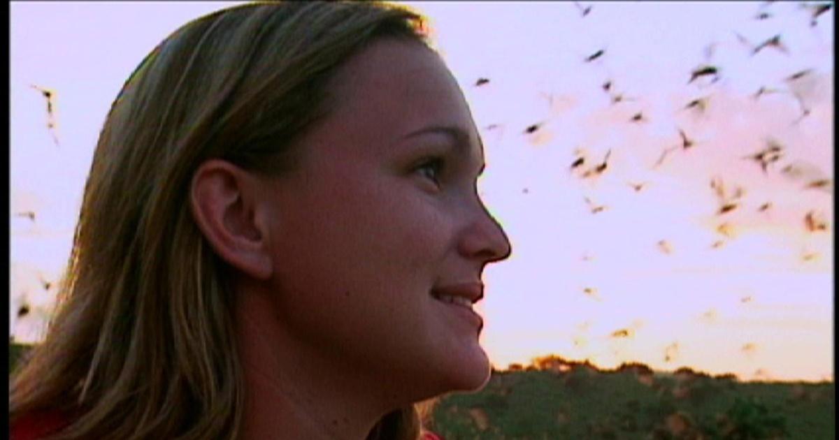 SciGirls | Scientist Profile: Bat Biologist | PBS