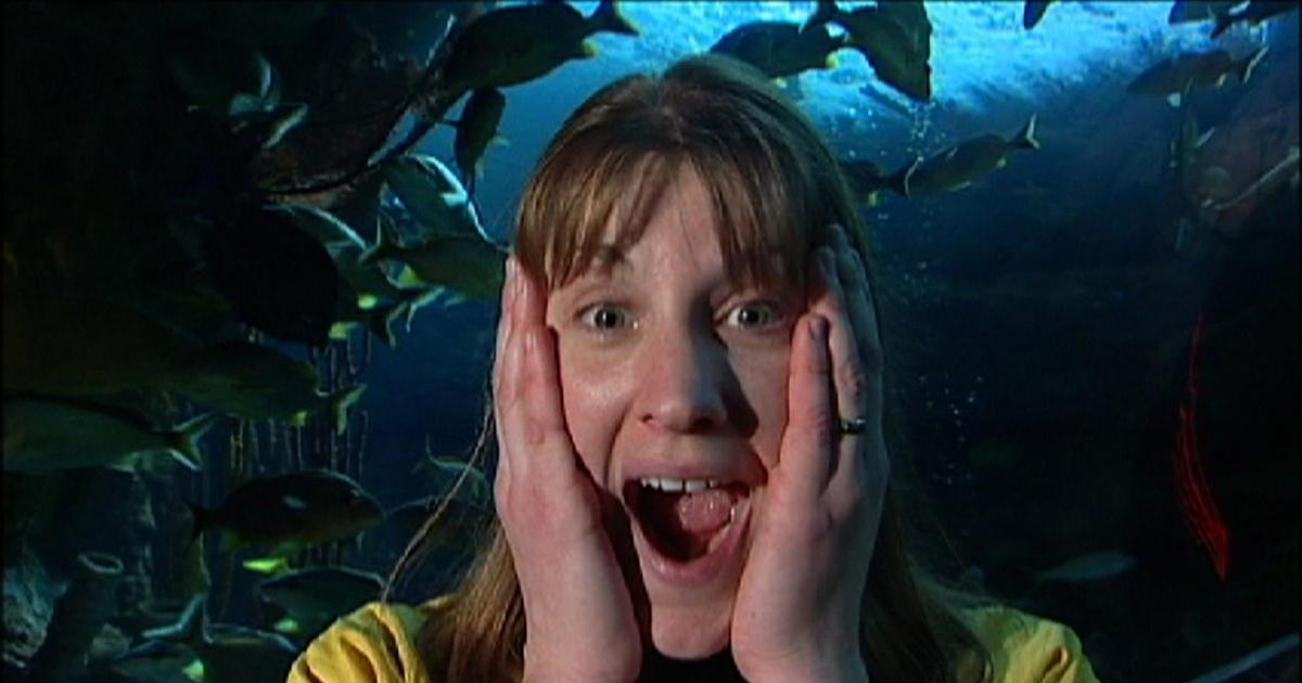 SciGirls | Scientist Profile: Octopus Trainer | PBS