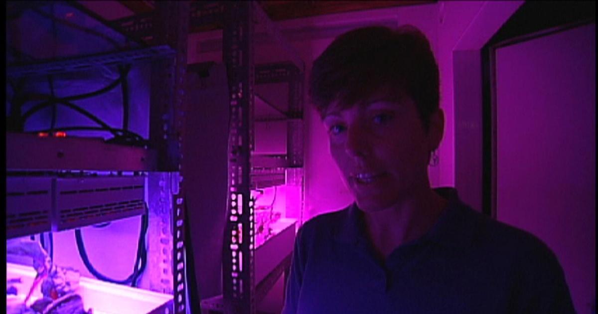 SciGirls | Scientist Profile: Wetland Ecologist | KPBS