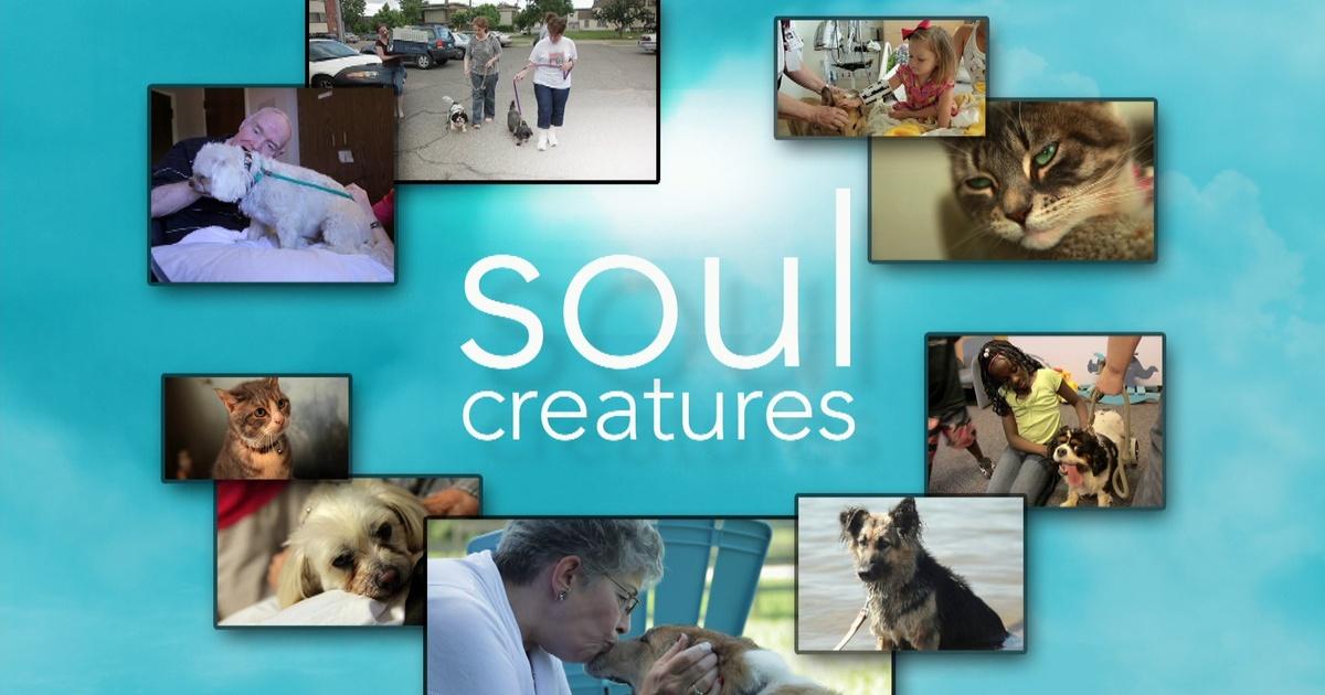 Soul Creatures | PBS