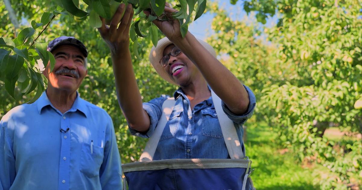 Washington Grown | Celebrating Washington PREVIEW | Season 11 | Episode ...