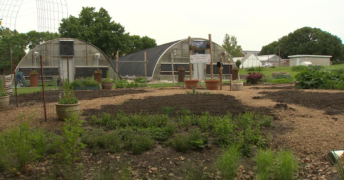 Backyard Farmer | Children's Gardening Programs | PBS