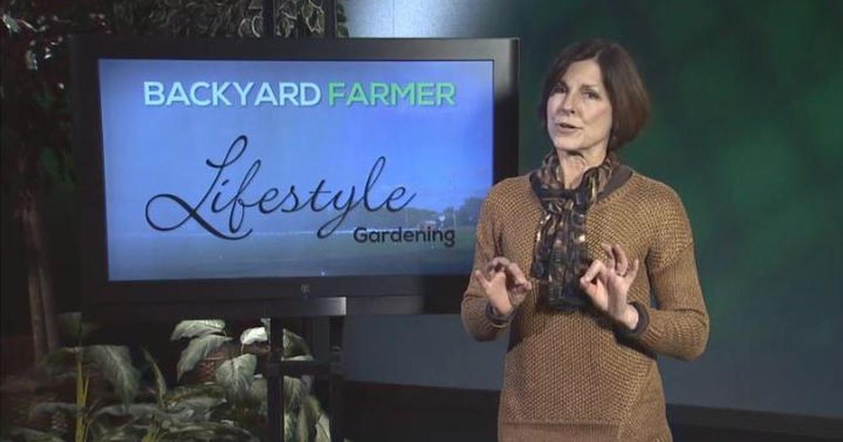 Backyard Farmer | Lifestyle Gardening: Preparing Your Soil | PBS