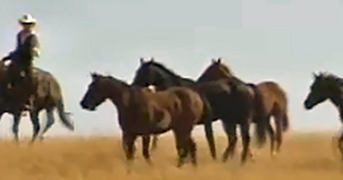 Dakota Pathways | Cowboys on the Open Range | WTTW