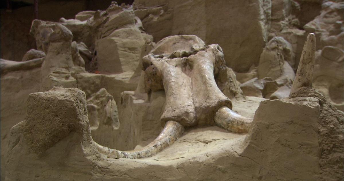 Landscapes of South Dakota | Mammoth Site | PBS