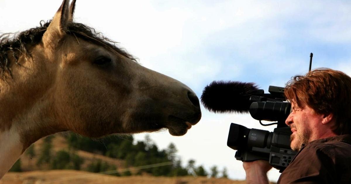 Nature Adventures | PBS