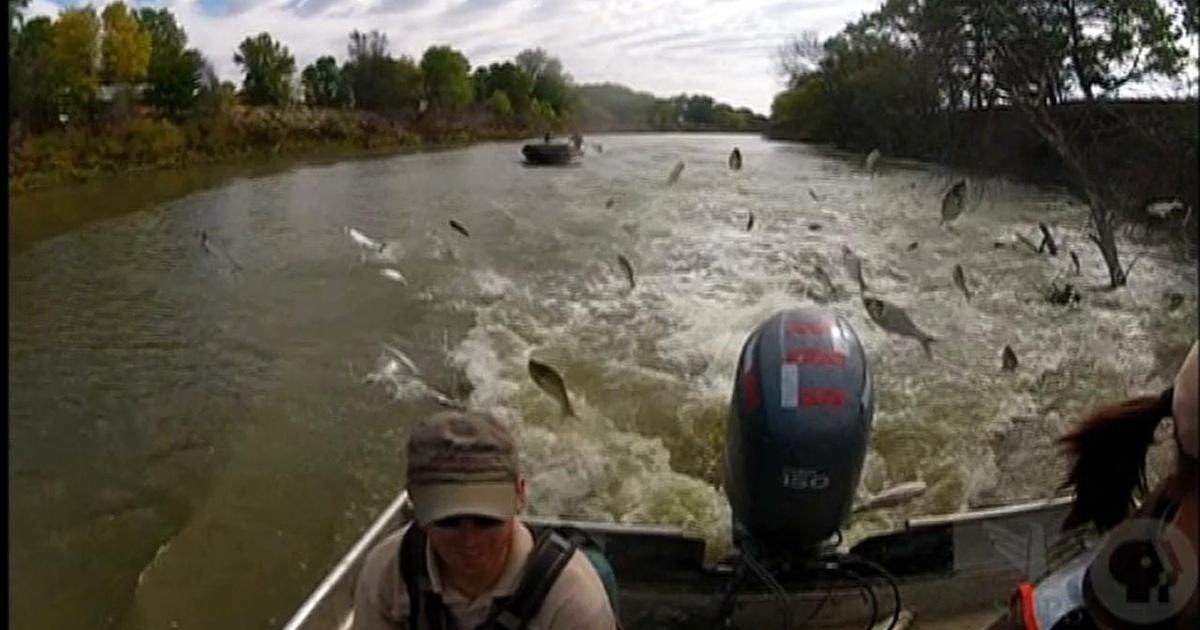 South Dakota Focus | Invasive Species | PBS