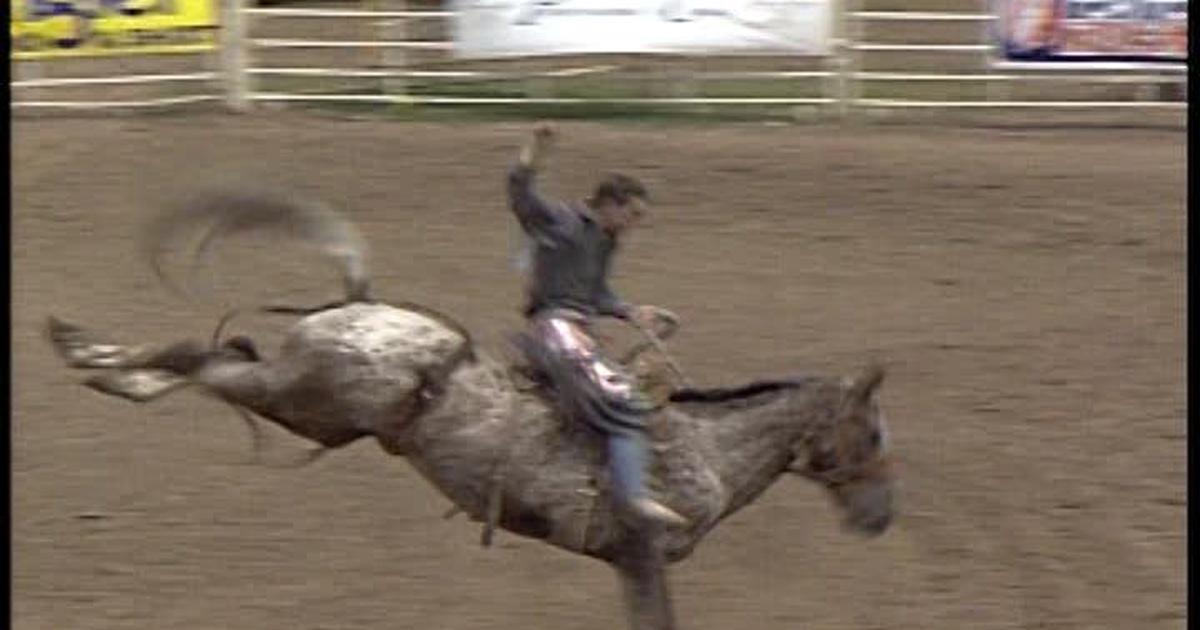 SDPB Specials | Jeff Willert Saddle Bronc 1999 SDHS Rodeo Finals | PBS