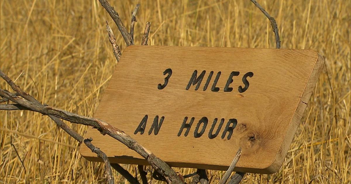 3 Miles An Hour | PBS