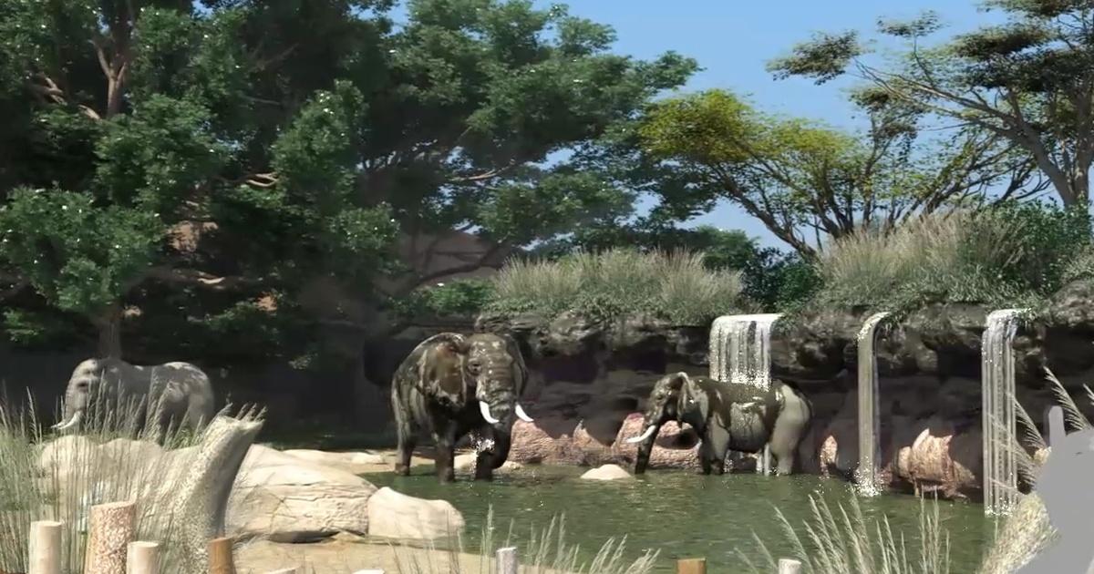 Fresno Chaffee Zoo: African Adventure | byYou Exploration | PBS