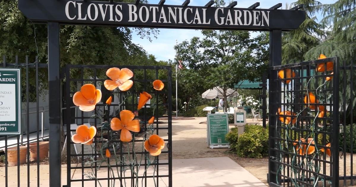 Clovis Botanical Garden: Around the World in 80 Bites | byYou ...