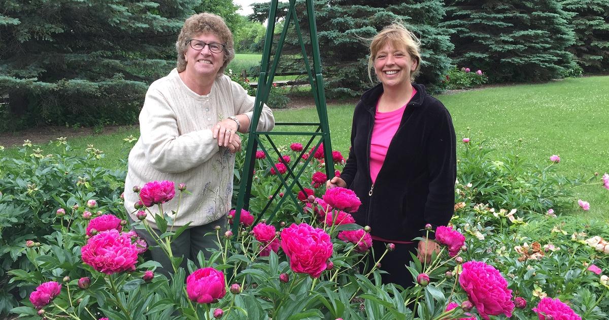 Prairie Yard Garden Peonies Season 30 Episode 3 Pbs