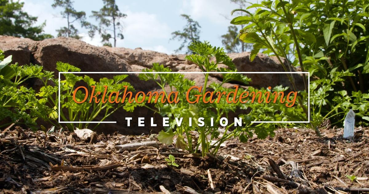 Oklahoma Gardening | Oklahoma Gardening #4901 (07/02/22) | Season 49 ...