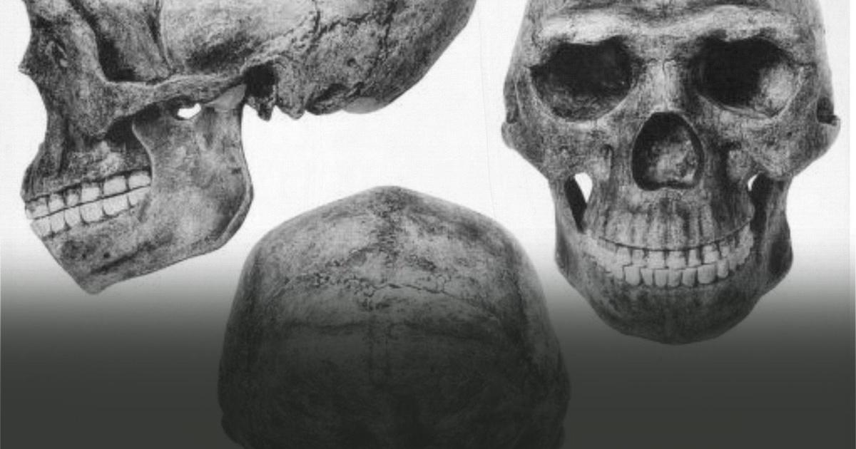 Eons Podcast | The Lost Human Fossils of World War II | Season 1 ...