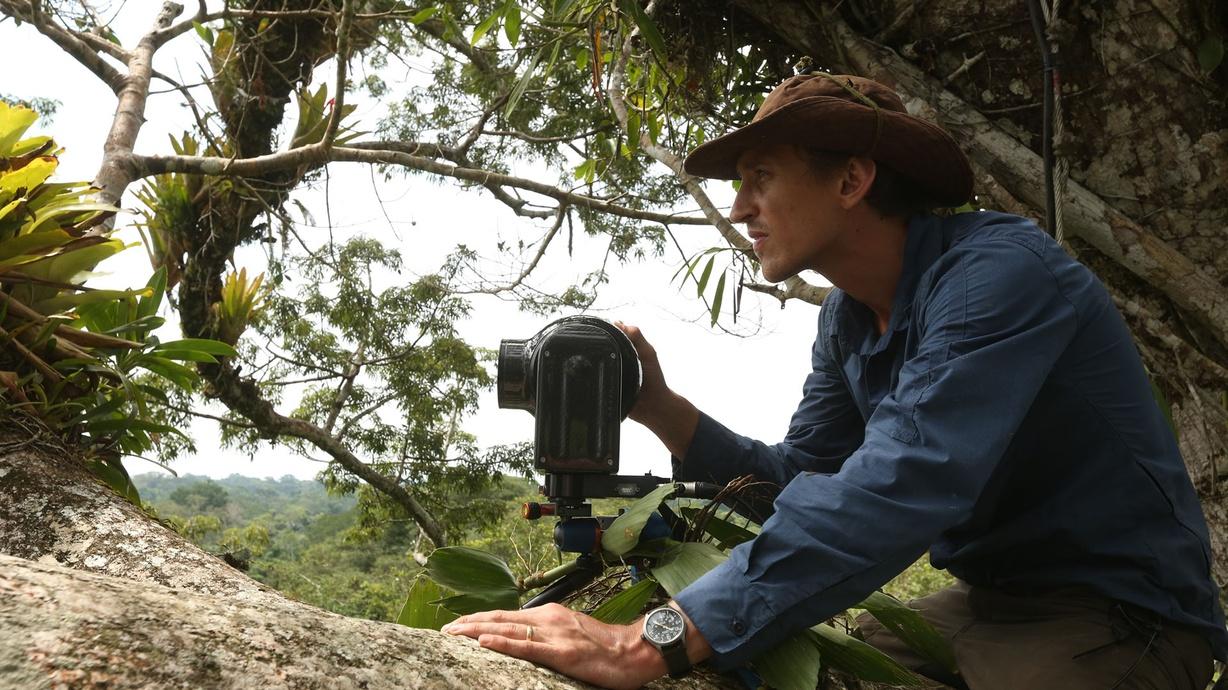 Inside NATURE: Undercover in the Jungle | Watch on PBS Wisconsin