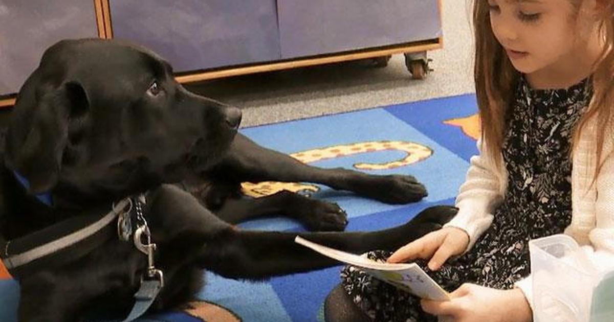 Inside California Education | Service Dog in the Classroom | Season 1 ...