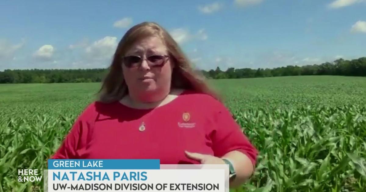 Here and Now | Natasha Paris on Wisconsin's Farms Facing Weather ...