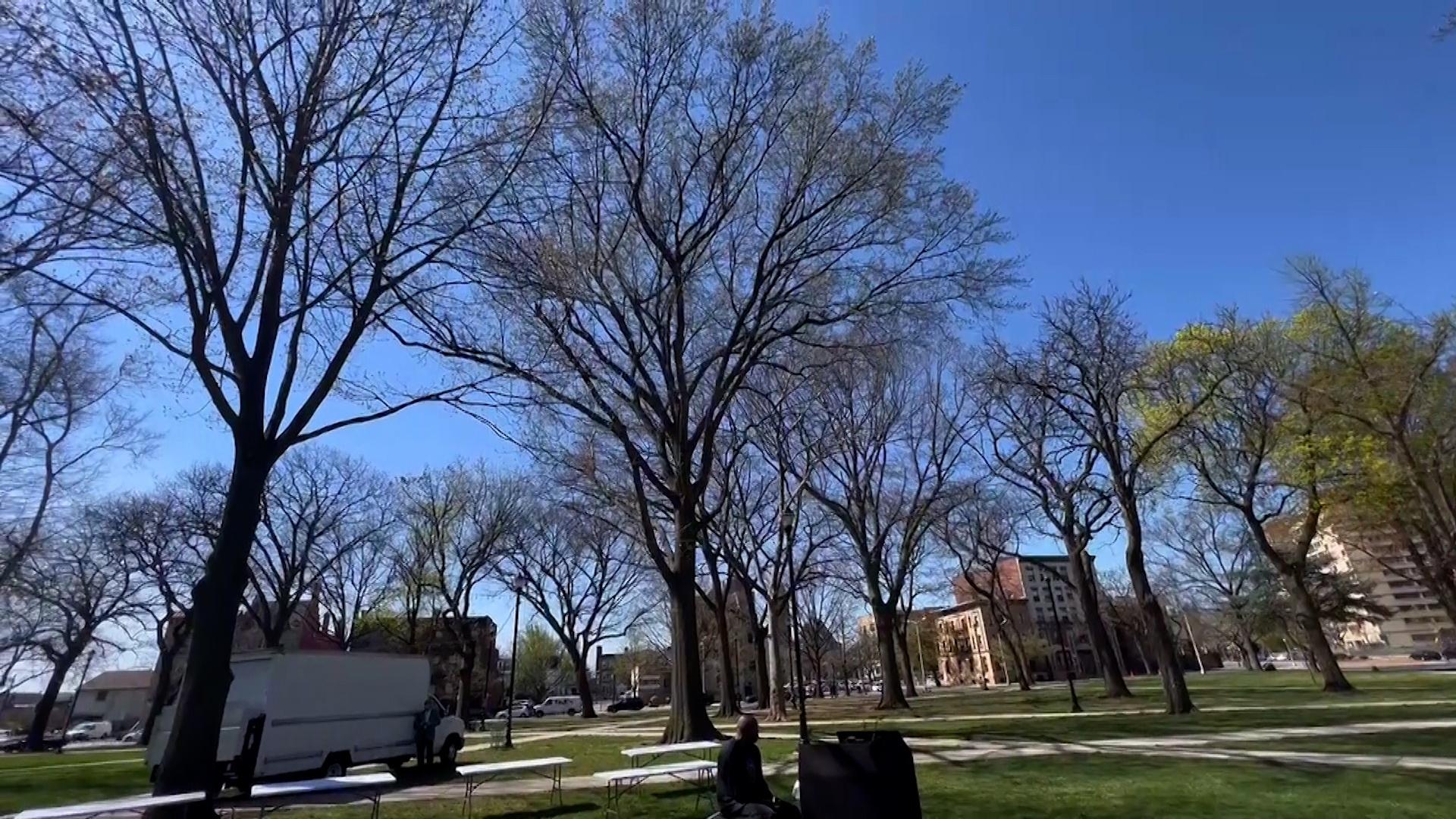 The push for more trees, greener Newark | NJ Spotlight News | THIRTEEN ...