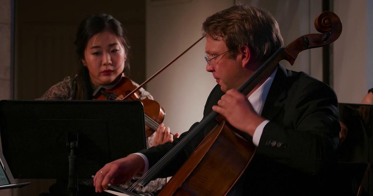 Special Presentations | String Theory @ Home Preview, Nov. 20 | PBS