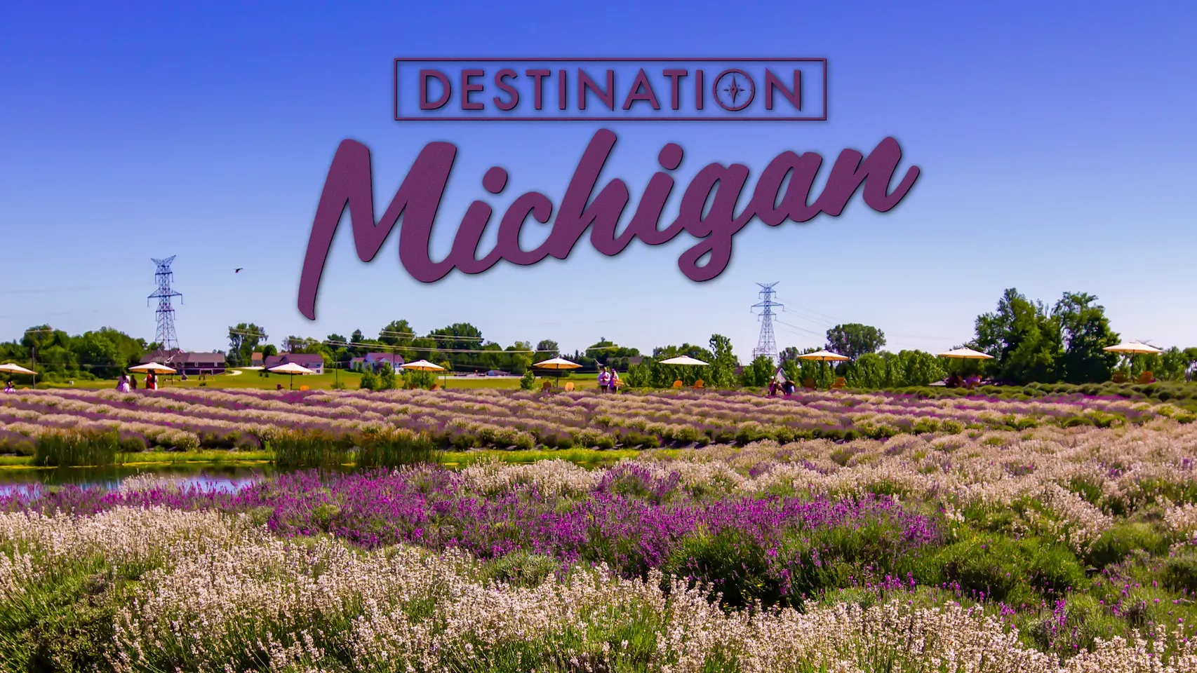 Destination Michigan | PBS