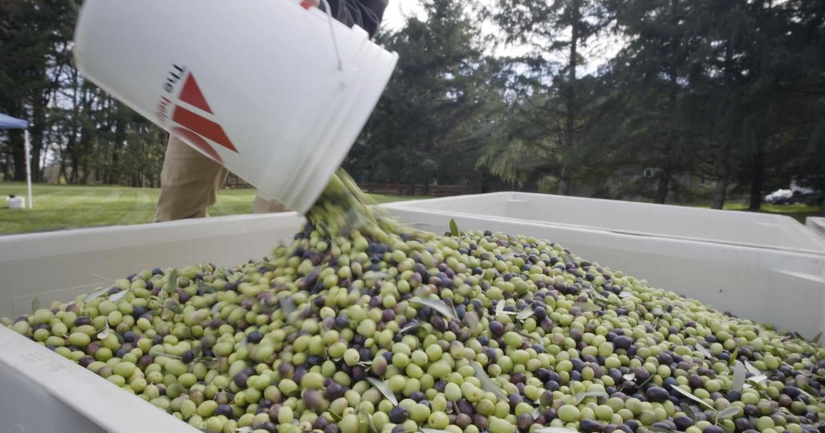 Oregon Field Guide | OPB