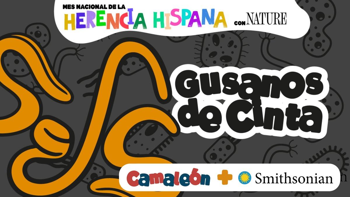 Gusanos de Cinta: ¡El animal más largo del planeta! | Ribbon Worms: the ...
