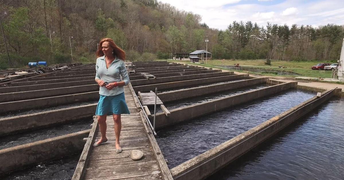 Climate Stories Nc Sally Eason Trout Farmer Pbs