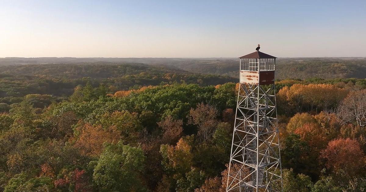 Road Trip Iowa | Yellow River State Forest | Season 2 | Episode 201 | PBS