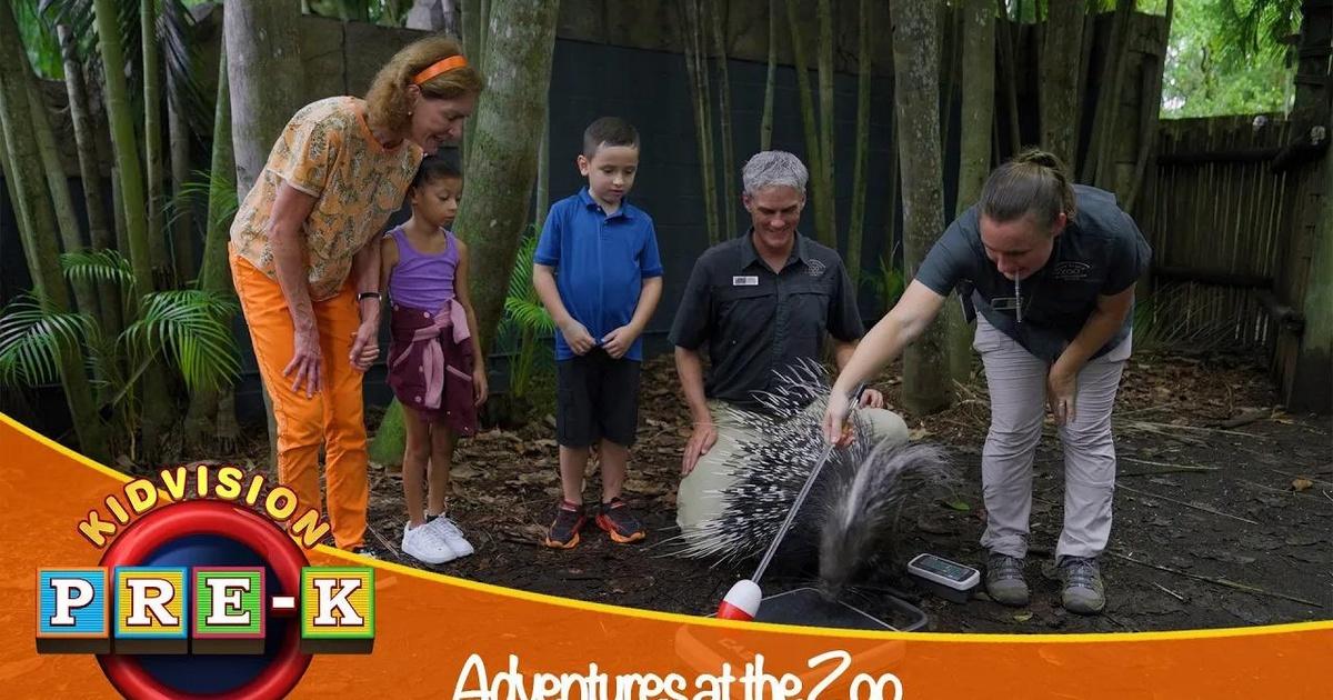 KidVision Pre-K | Adventures at the Zoo | Virtual Field Trip | Season ...