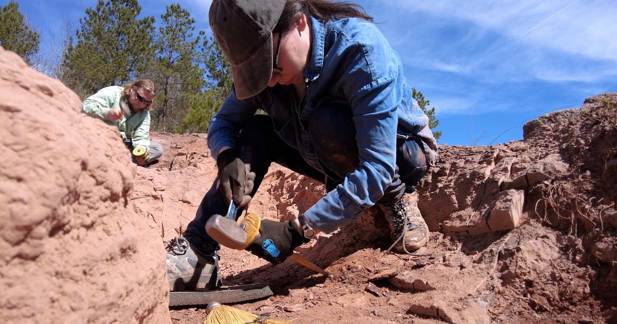 SCI NC | Complete Proto-Dinosaur Skeleton Discovered in North America ...
